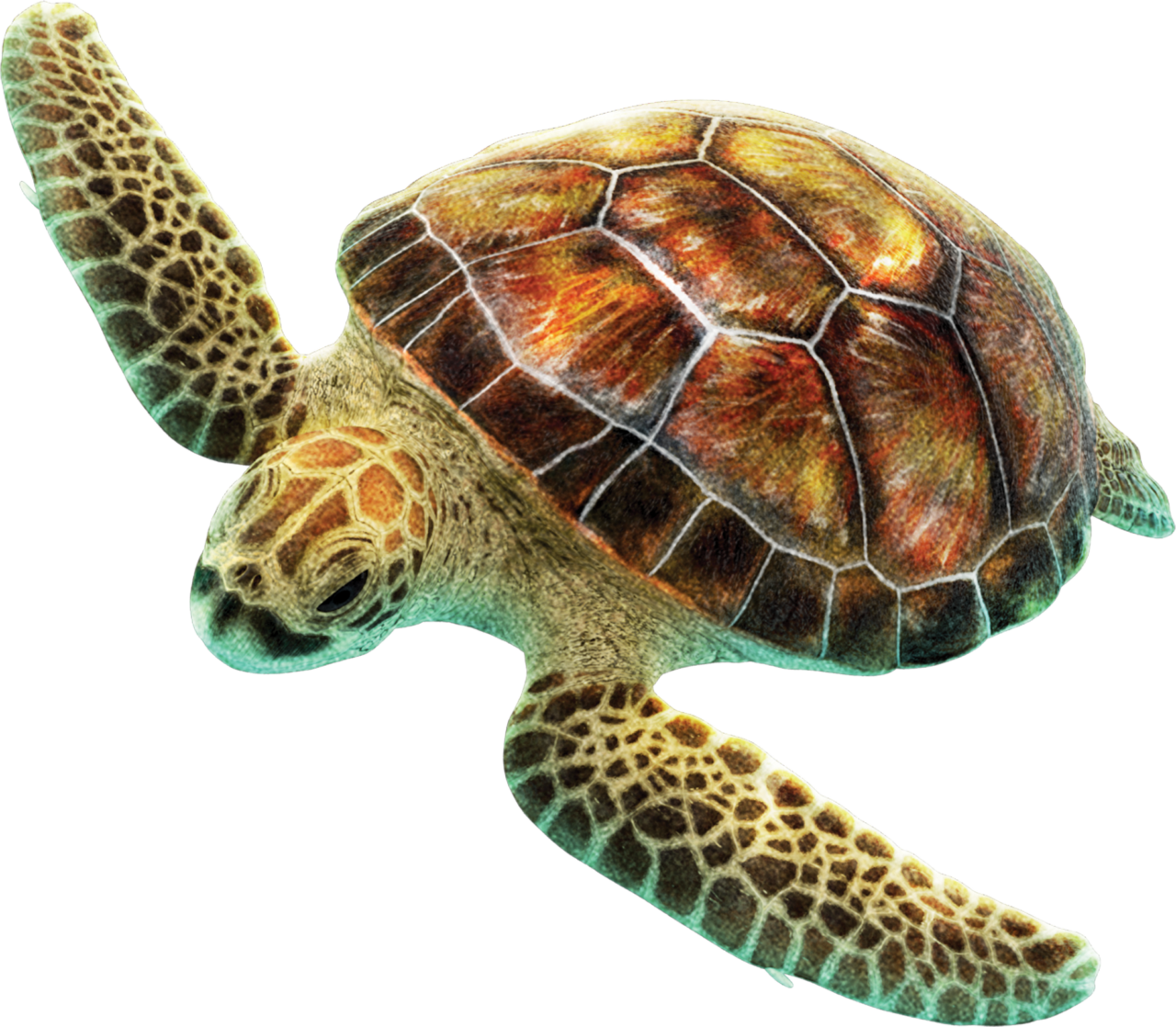 Vacation Bible School 2024 | Immanuel Lutheran Church and School